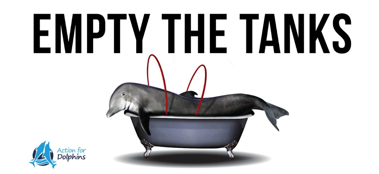Three ways to Stick it to Sea World | Action for Dolphins