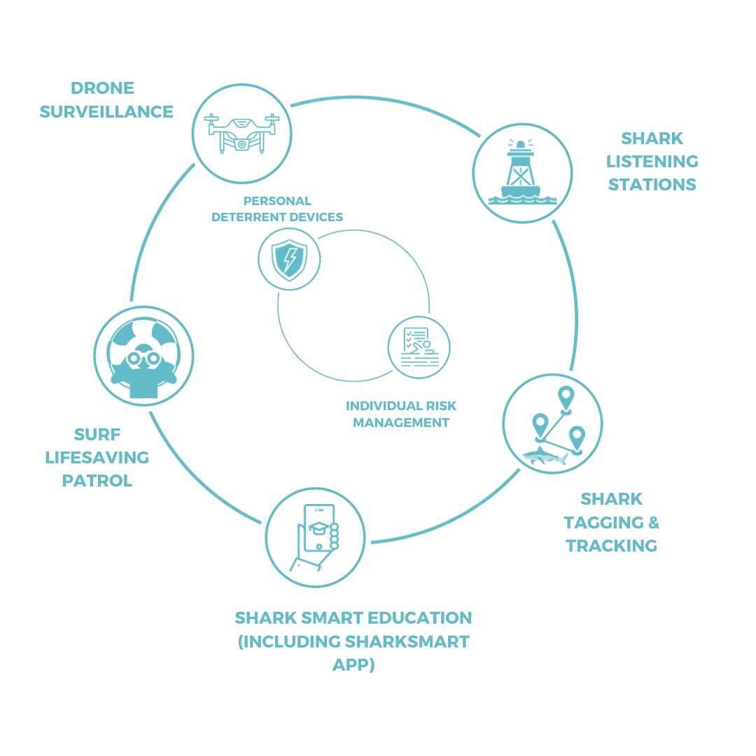 NSW shark nets: redundant and time to modernise