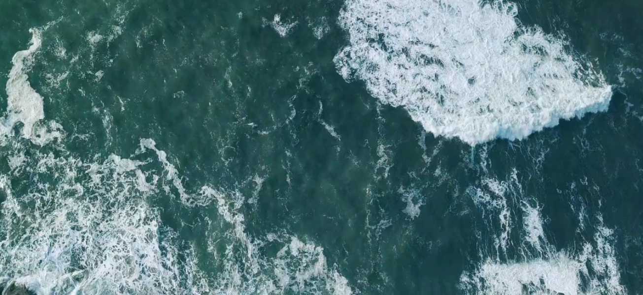 Protect the Ocean | Sign Petition to Ratify High Seas Treaty