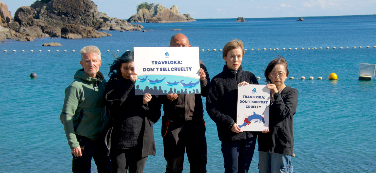 We call out Traveloka at the Taiji cove | Action for Dolphins