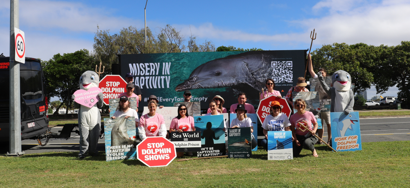 Why we protested dolphin captivity outside Sea World | Action for Dolphins